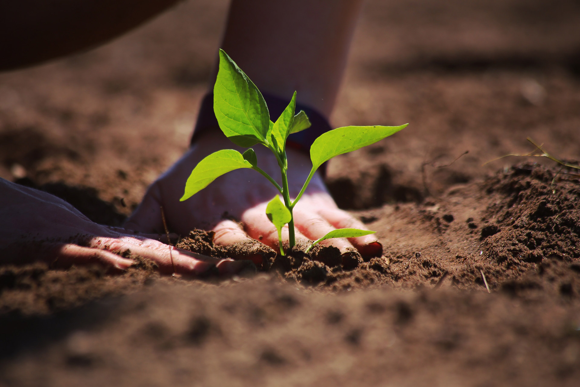 LED Lighting Rebates & Incentives - Big Shine Energy